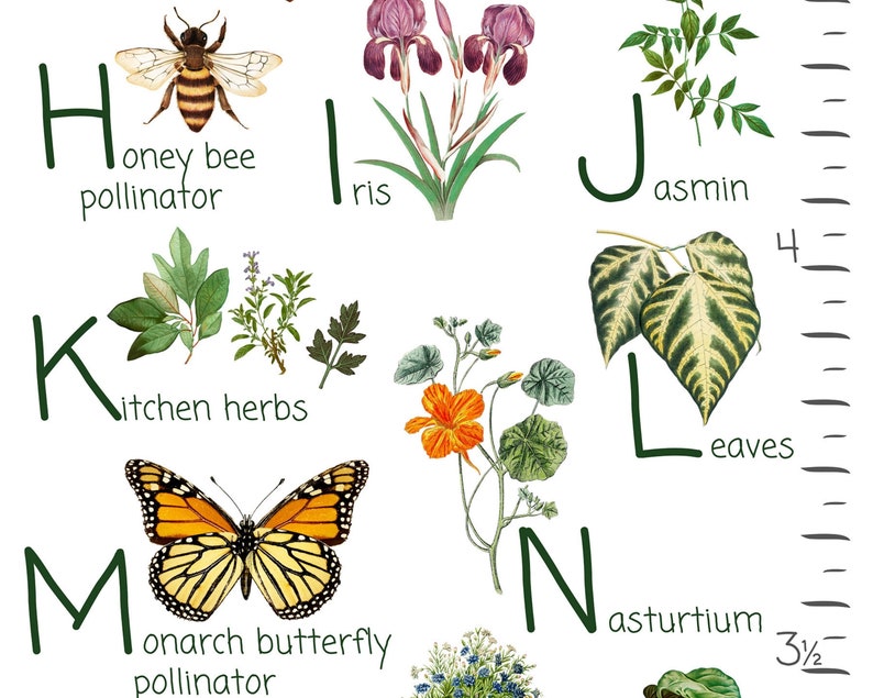 Canvas Garden Alphabet Poster With Brass Grommets for - Etsy