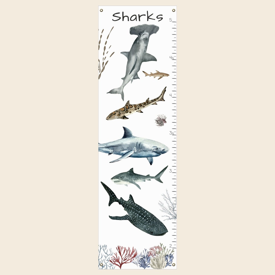 Shark Growth Chart in Canvas for Playroom Bedroom or - Etsy