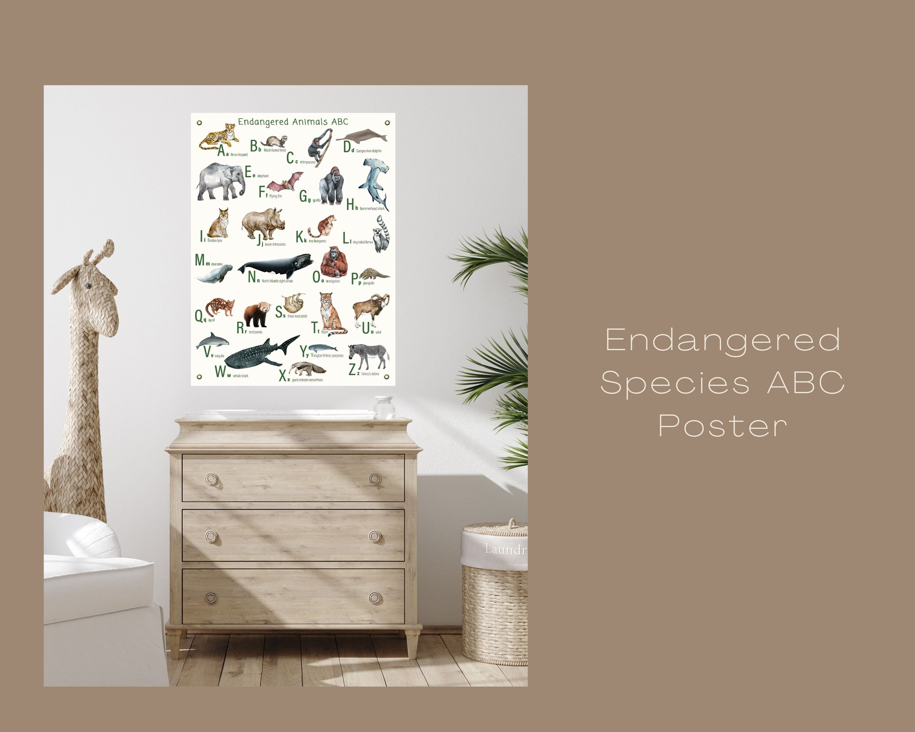 Canvas Endangered Animal Alphabet Poster With Brass Grommets - Etsy Canada