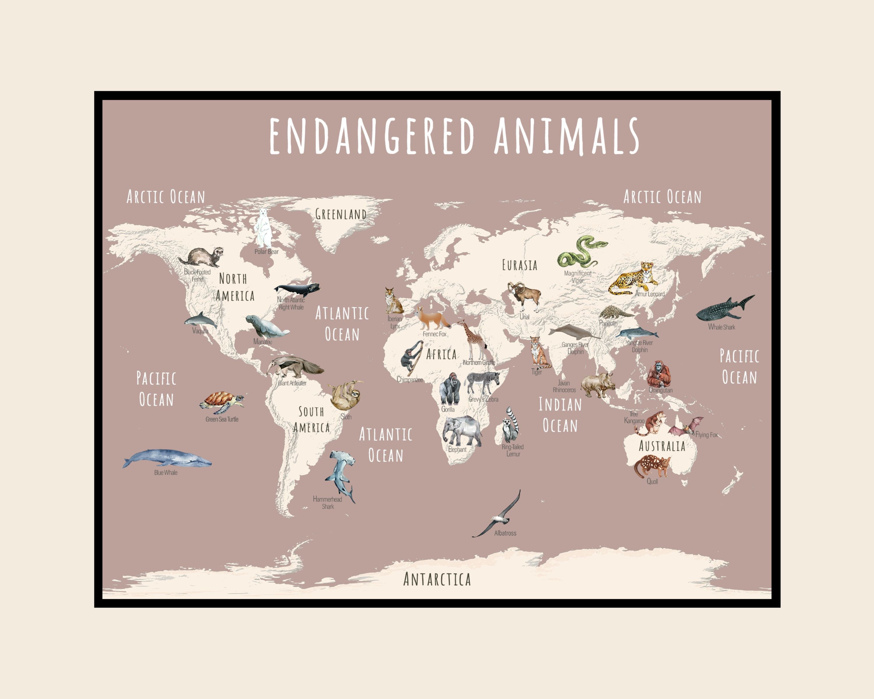 Fennec Fox Habitat Map