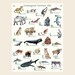 Canvas Endangered Animal Alphabet Poster With Brass Grommets for ...