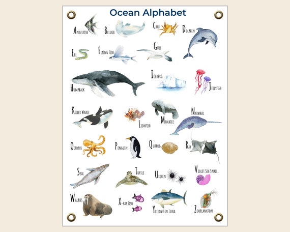 Canvas Ocean Alphabet Poster With Brass Grommets for Playroom | Etsy Canada