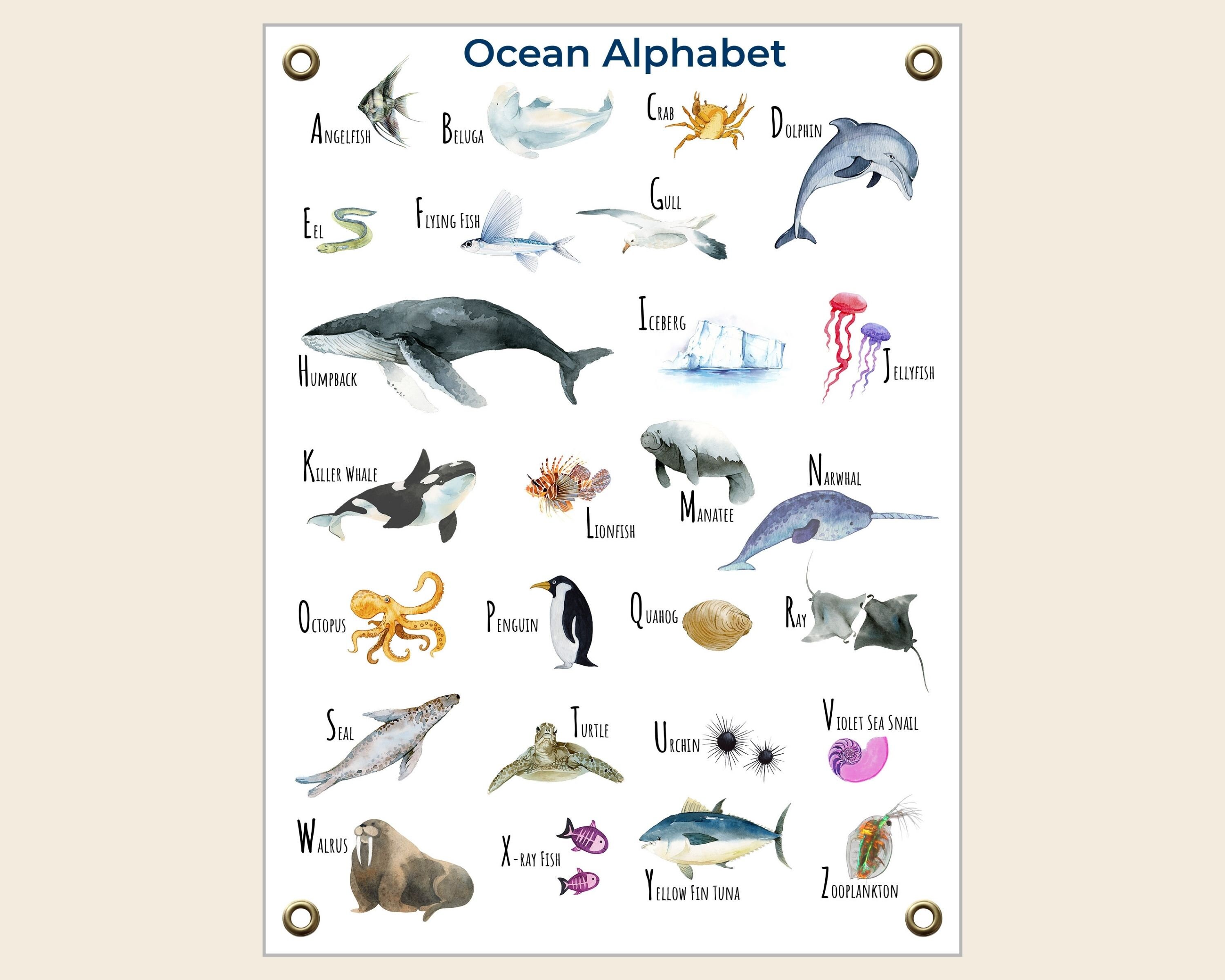 Canvas Ocean Alphabet Poster With Brass Grommets for Playroom - Etsy