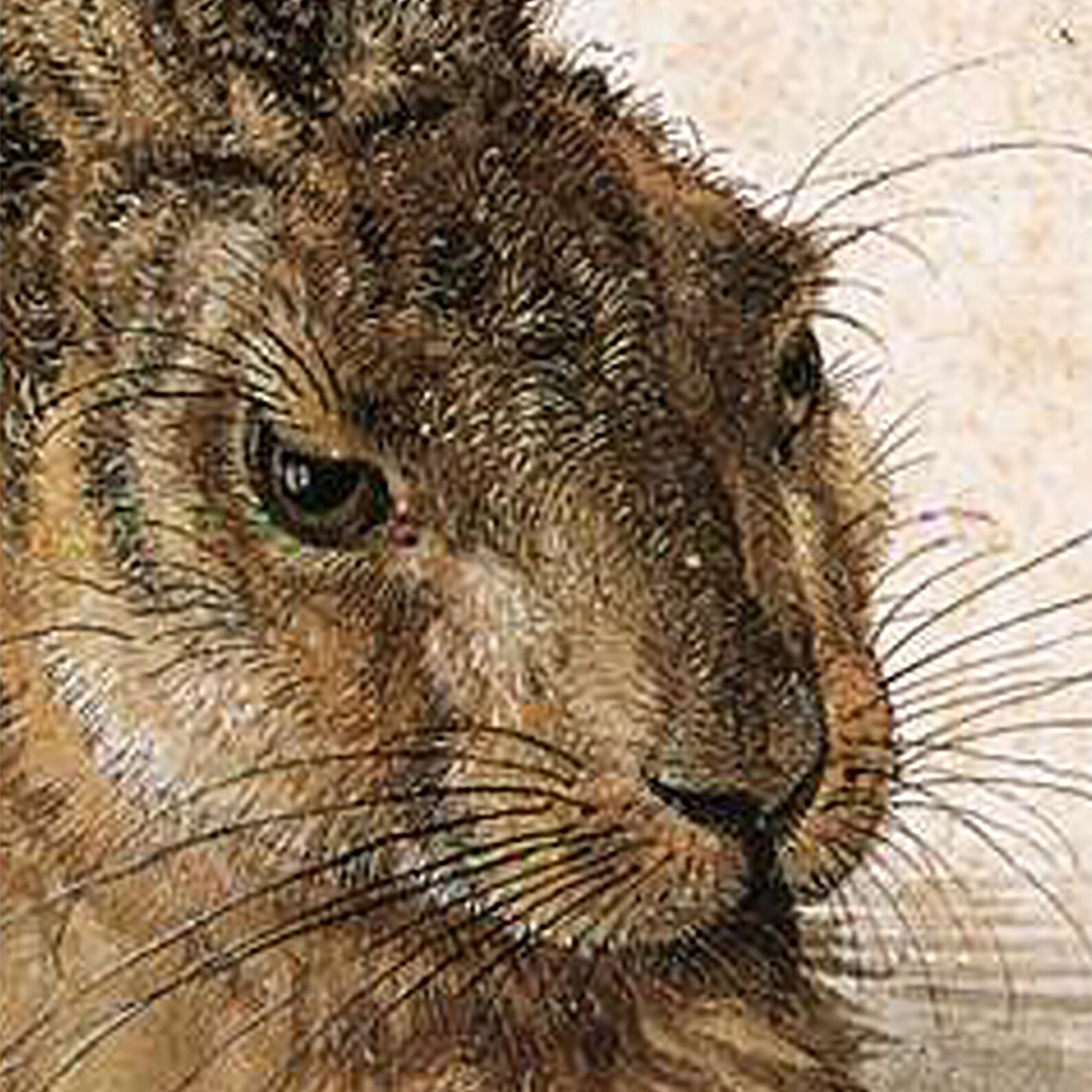 Young Hare Watercolor Art Print by Dürer, Perfect for Nature Lover ...