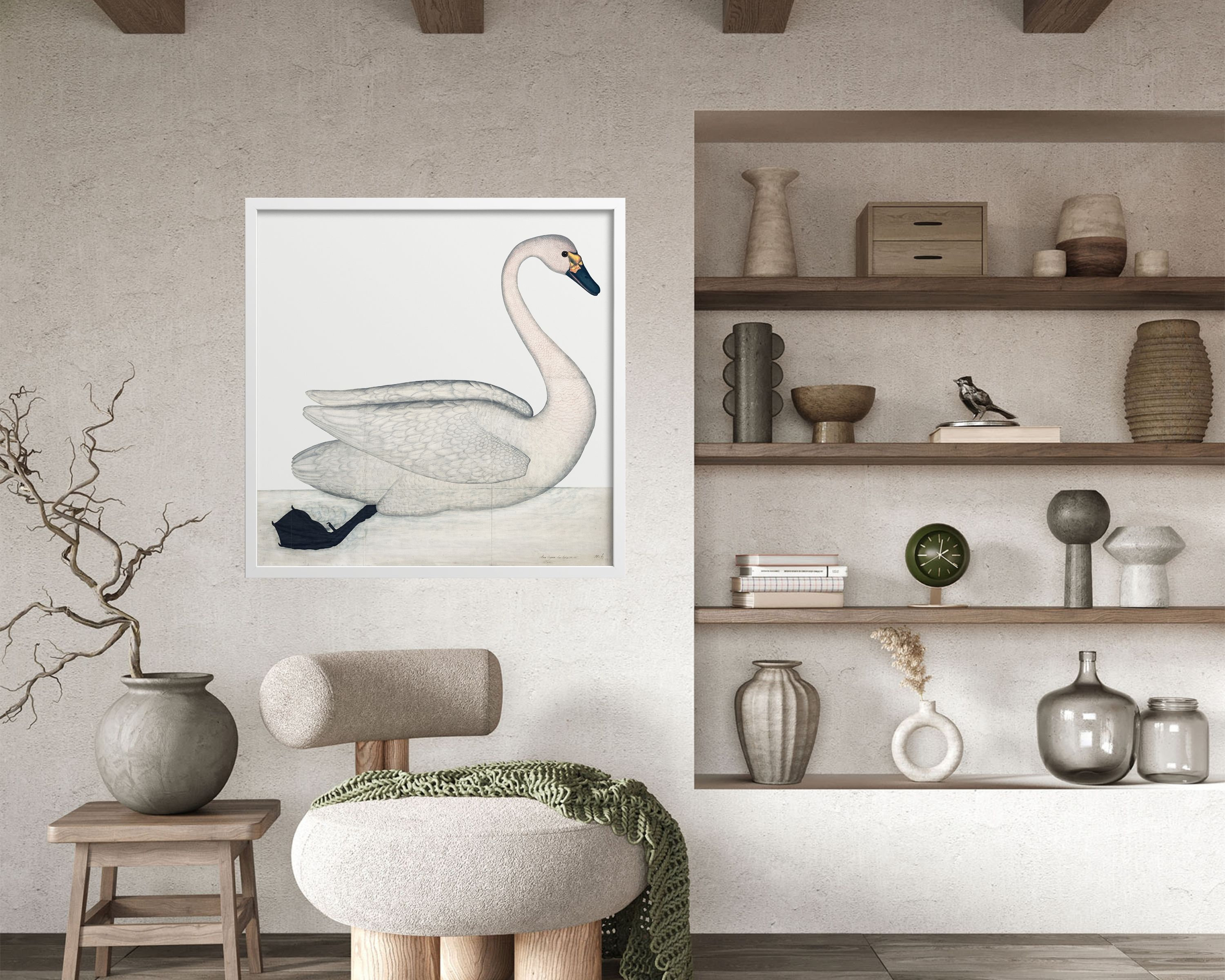 Swan Fine Art Swedish Bird Print by Olof Rudbeck | Etsy