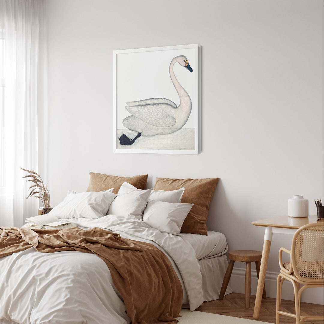 Swan Fine Art Swedish Bird Print by Olof Rudbeck - Etsy