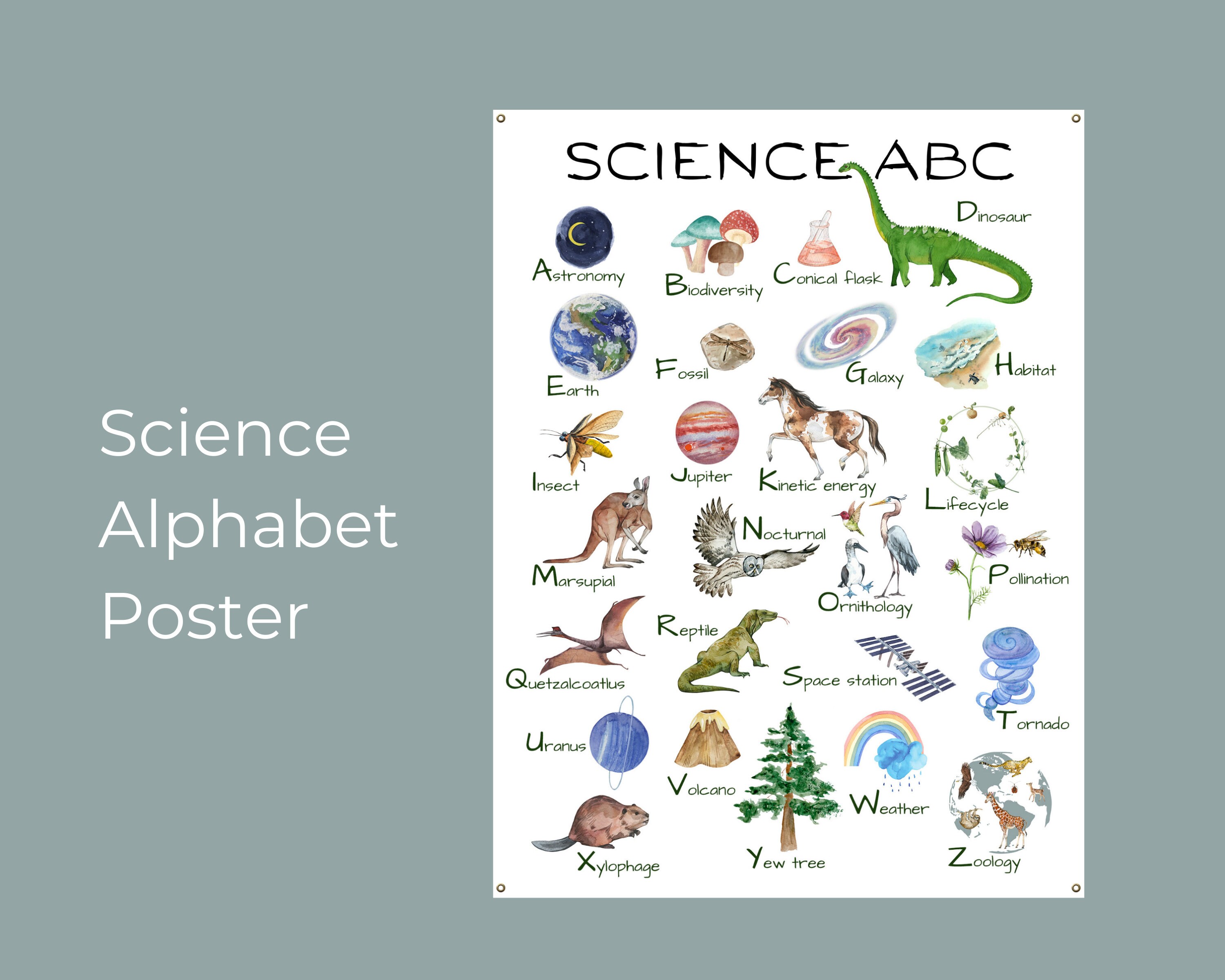 Set of Science Canvas Poster and Growth Chart With Brass Grommets ...