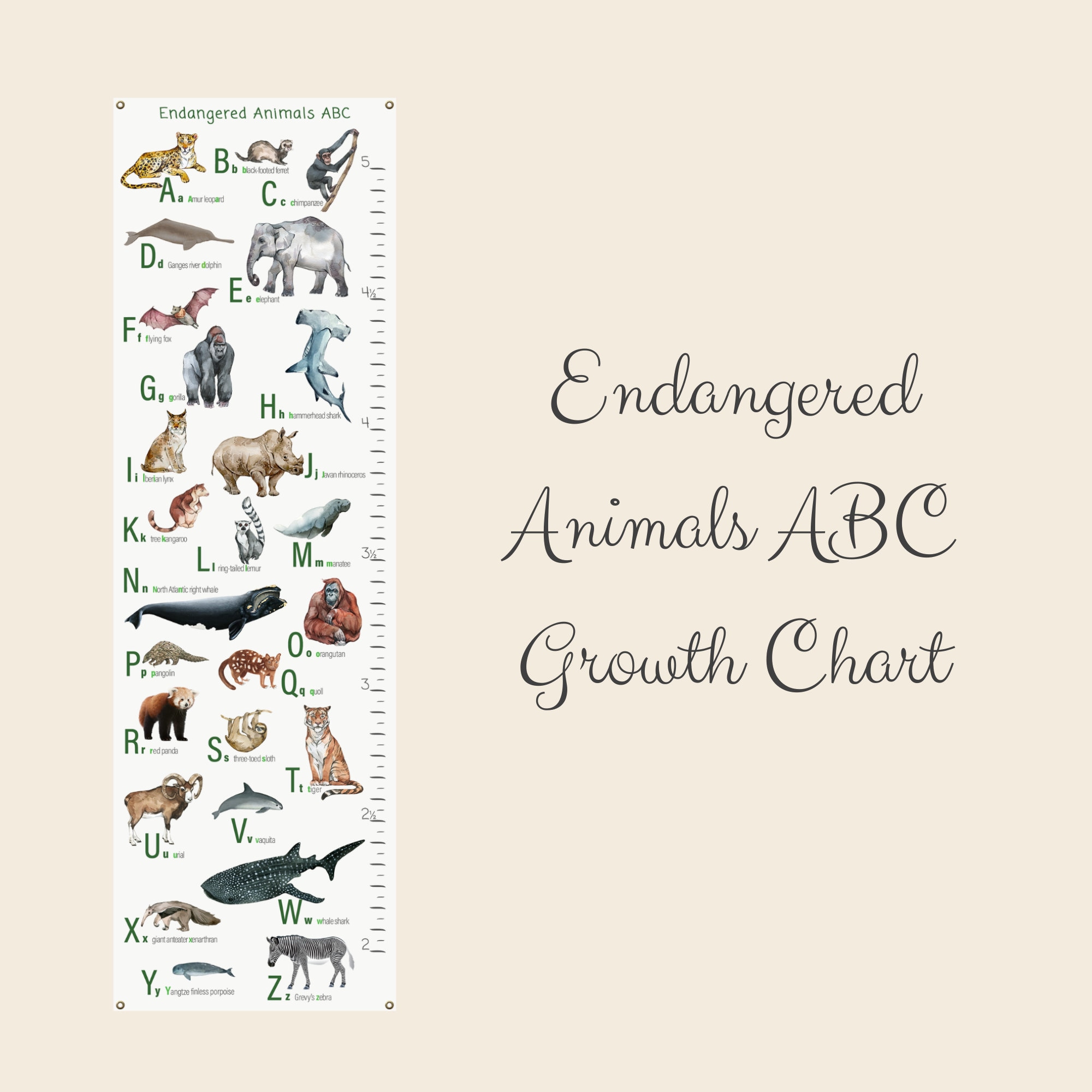Endangered Animals ABC Growth Chart in Canvas for Toddlers' Rooms ...