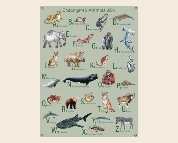 Canvas Endangered Animal Alphabet Poster in Mint Green With - Etsy