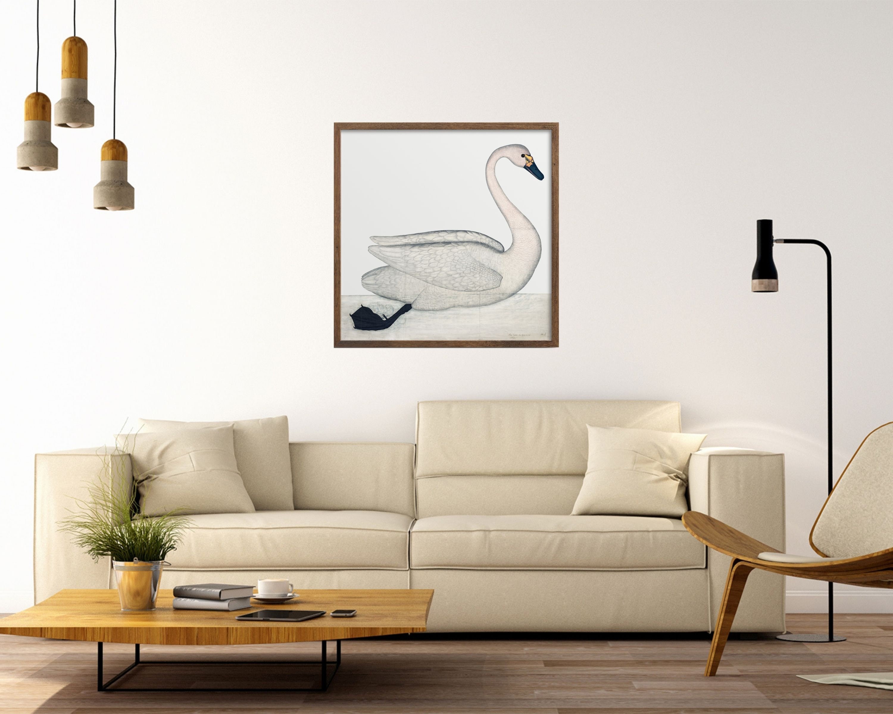 Swan Fine Art Swedish Bird Print by Olof Rudbeck | Etsy