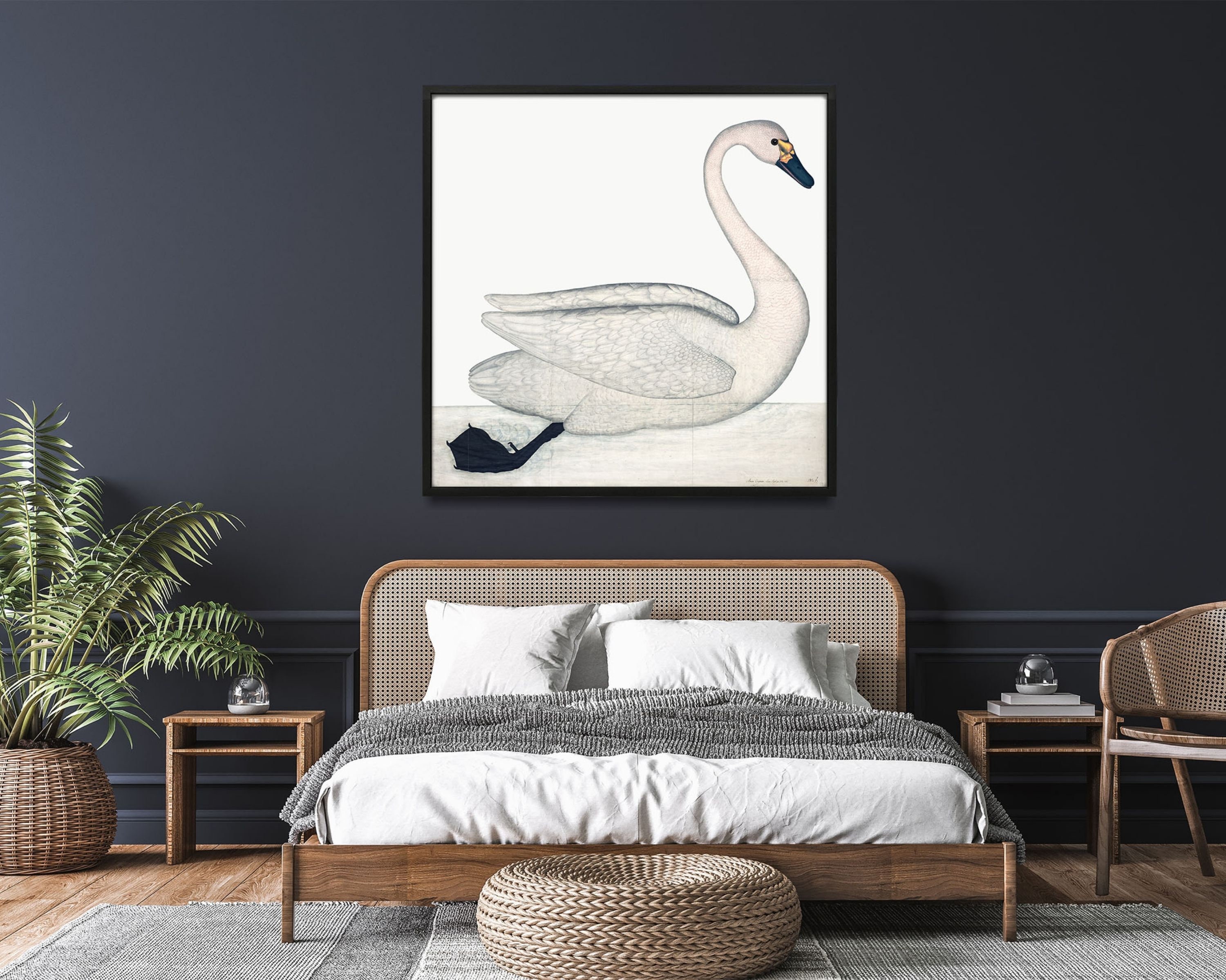 Swan Fine Art Swedish Bird Print by Olof Rudbeck | Etsy