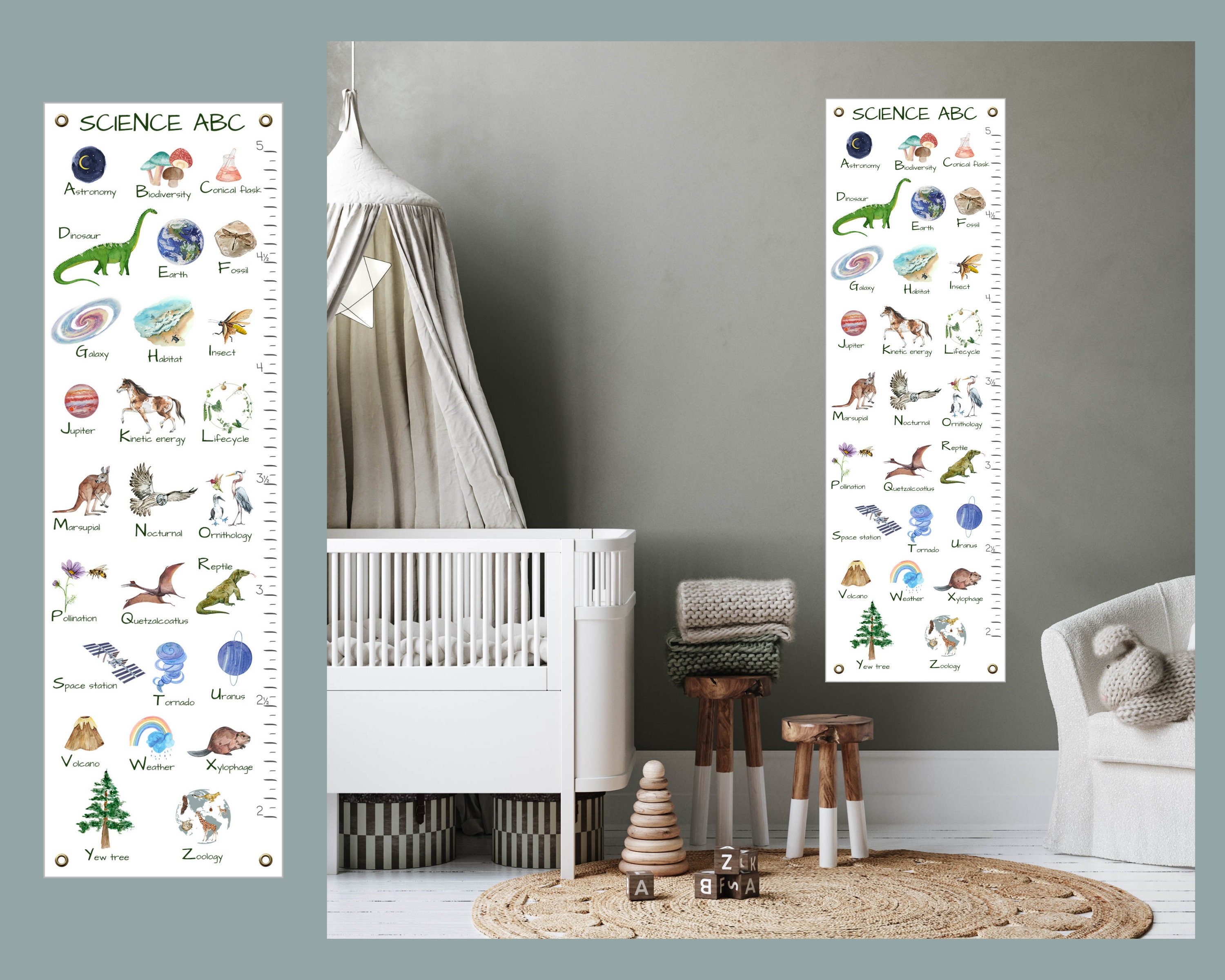 Set of Science Canvas Poster and Growth Chart With Brass Grommets ...