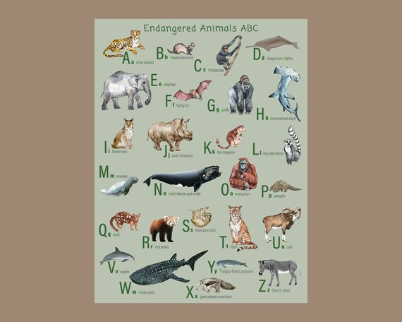 Endangered Animal Alphabet Poster in Mint Green on Fine Art - Etsy