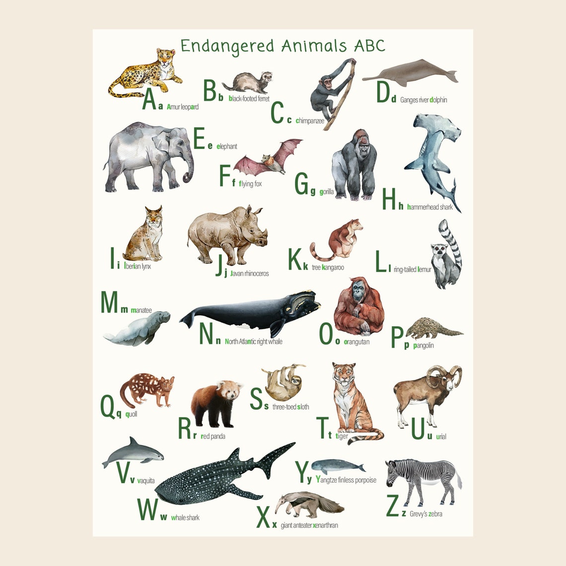 Endangered Animal Alphabet Poster on Fine Art Paper for Playroom ...