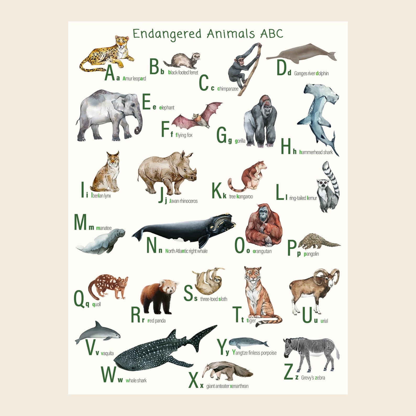 Endangered Animal Alphabet Poster on Fine Art Paper for Playroom ...