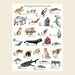 Endangered Animal Alphabet Poster on Fine Art Paper for Playroom ...