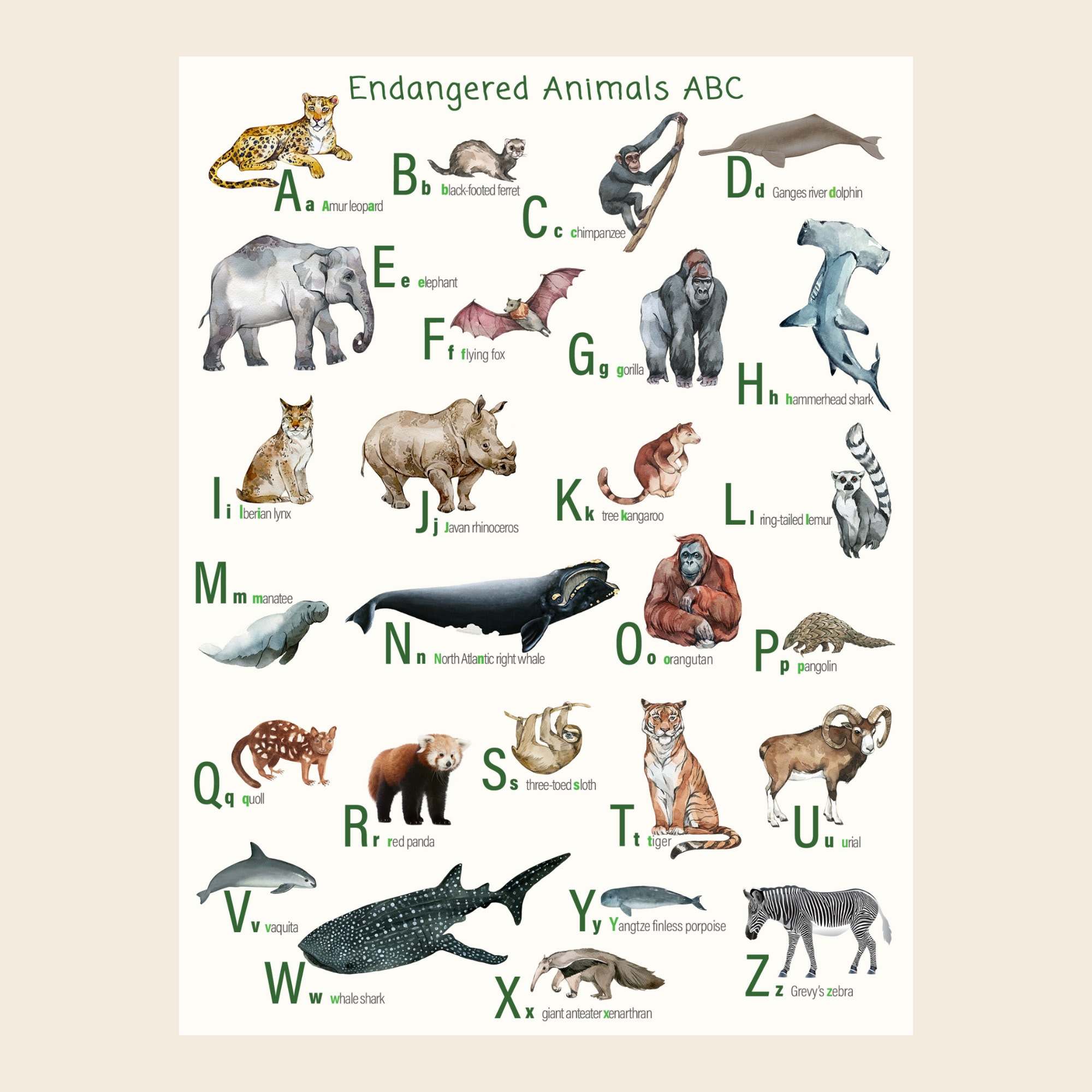 Endangered Animal Alphabet Poster on Fine Art Paper for Playroom ...