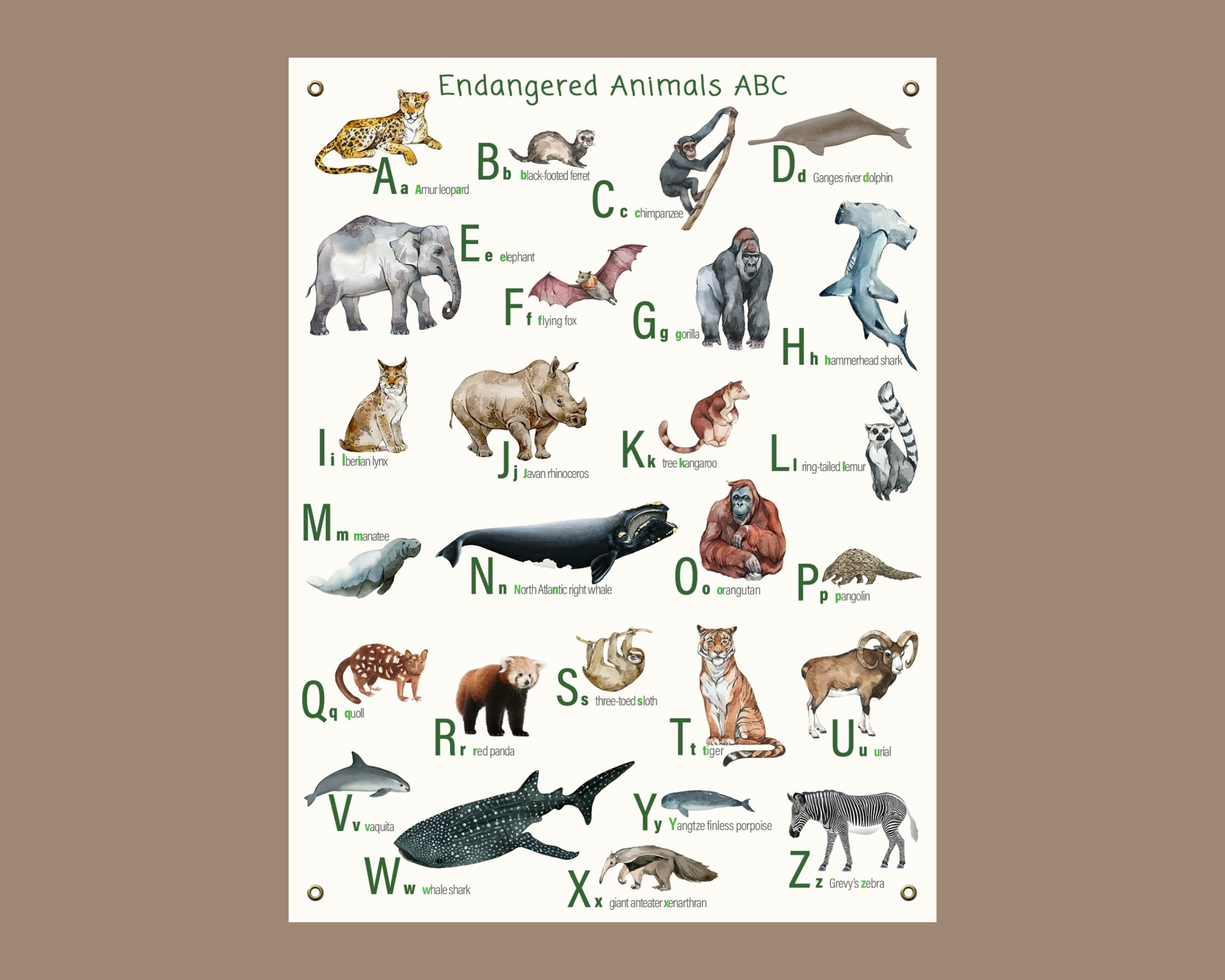 Canvas Endangered Animal Alphabet Poster With Brass Grommets - Etsy Canada