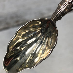 Vintage Australian Sterling Silver Kangaroo Spoon by Zygmunt Libucha - Etsy