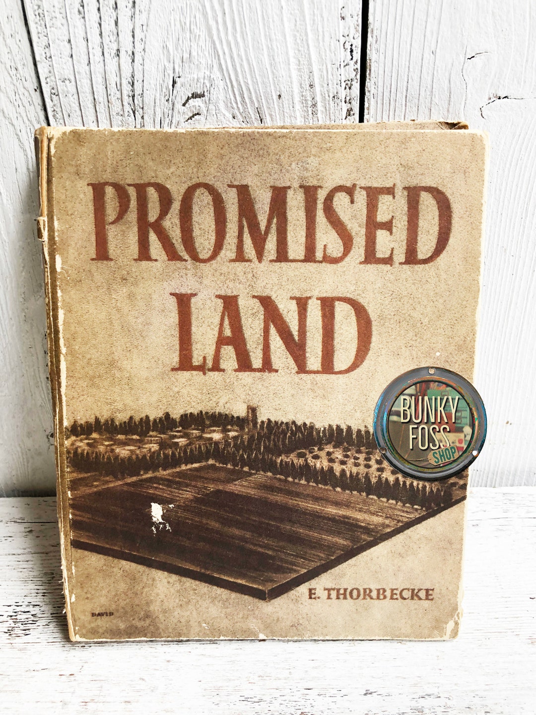 Vintage 1947 Promised Land Book by Ellen Thorbecke, Harper & Brothers ...