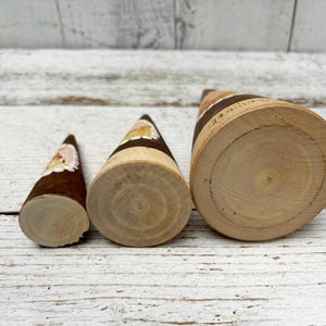 Vintage Pyography Wooden Nesting Cones, Hand Painted Souvenirs - Etsy