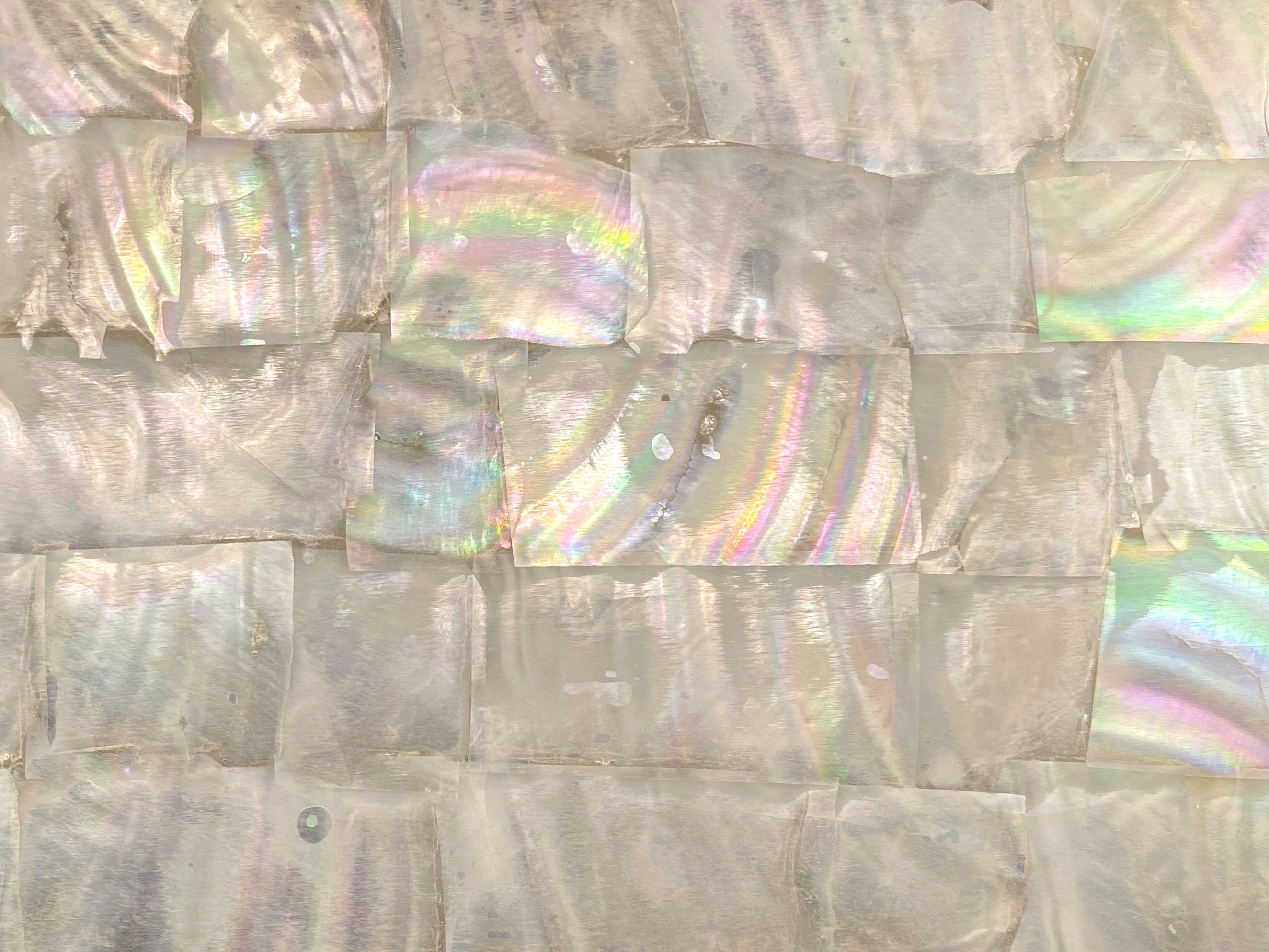 Trochus Shell Sheet and Strips - Etsy UK