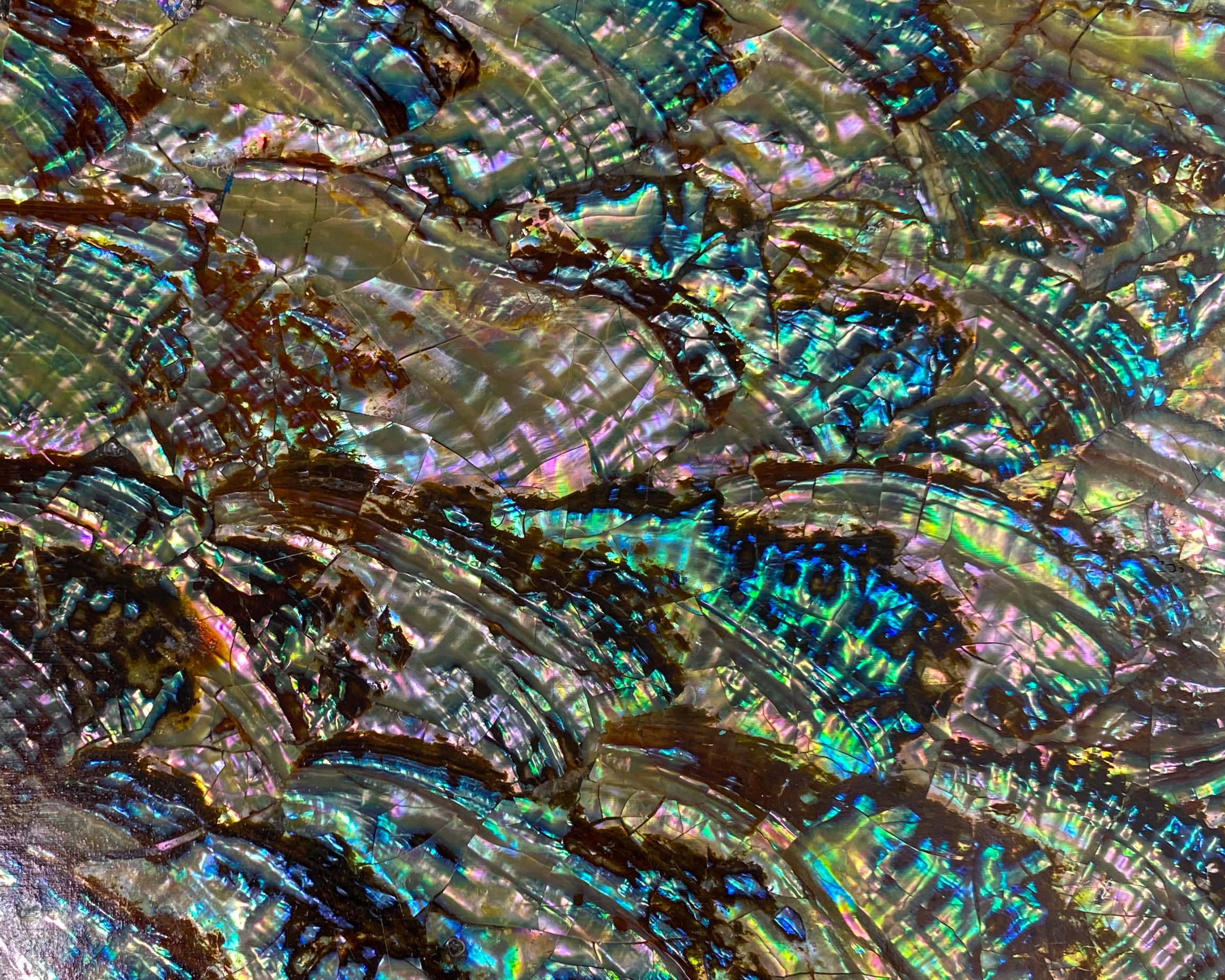 Fresh-water Shell Sheet and Strips - Etsy UK