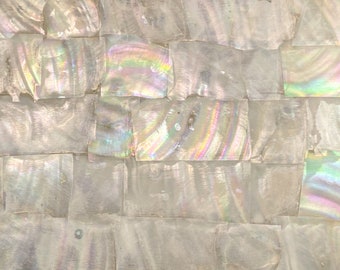 Fresh-water Shell Sheet and Strips | Etsy UK