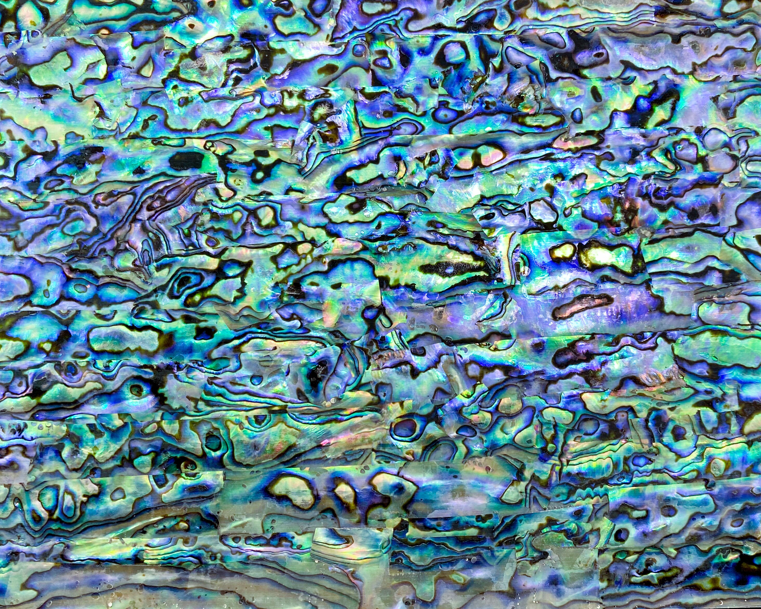 Trochus Shell Sheet and Strips | Etsy UK