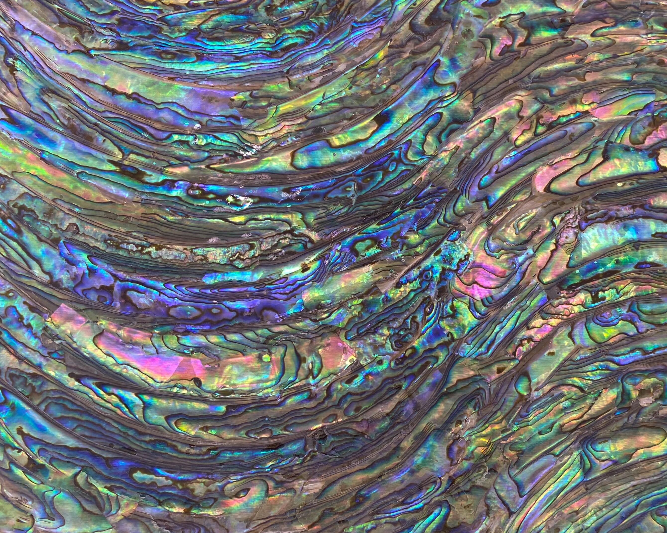 Trochus Shell Sheet and Strips - Etsy UK