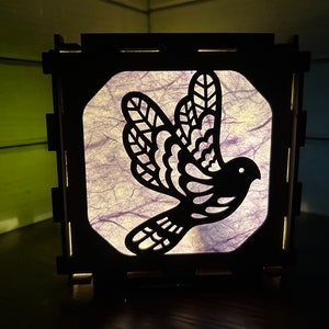 Parakeet, Parakeets, Budgie, Budgies, Parakeet Light Box, Budgie Light ...