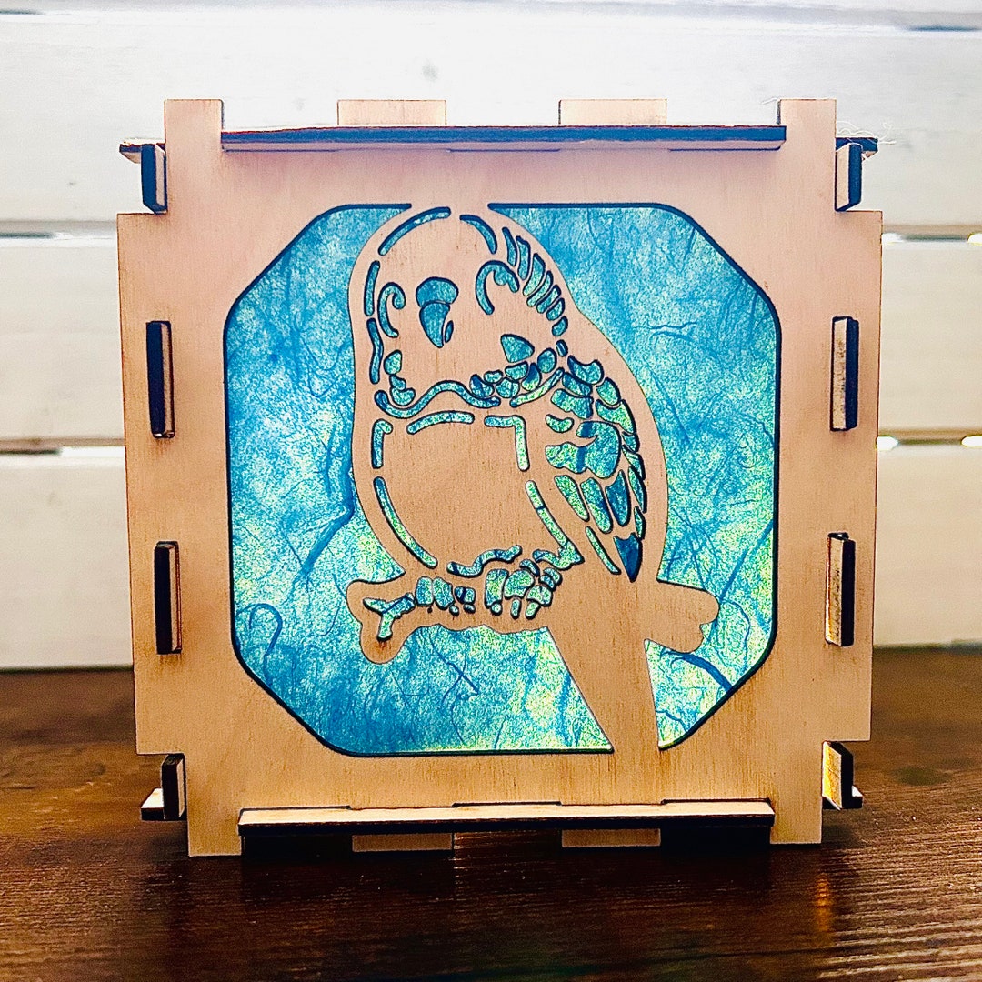 Parakeet Parakeets Budgie Budgies Parakeet Light Box - Etsy