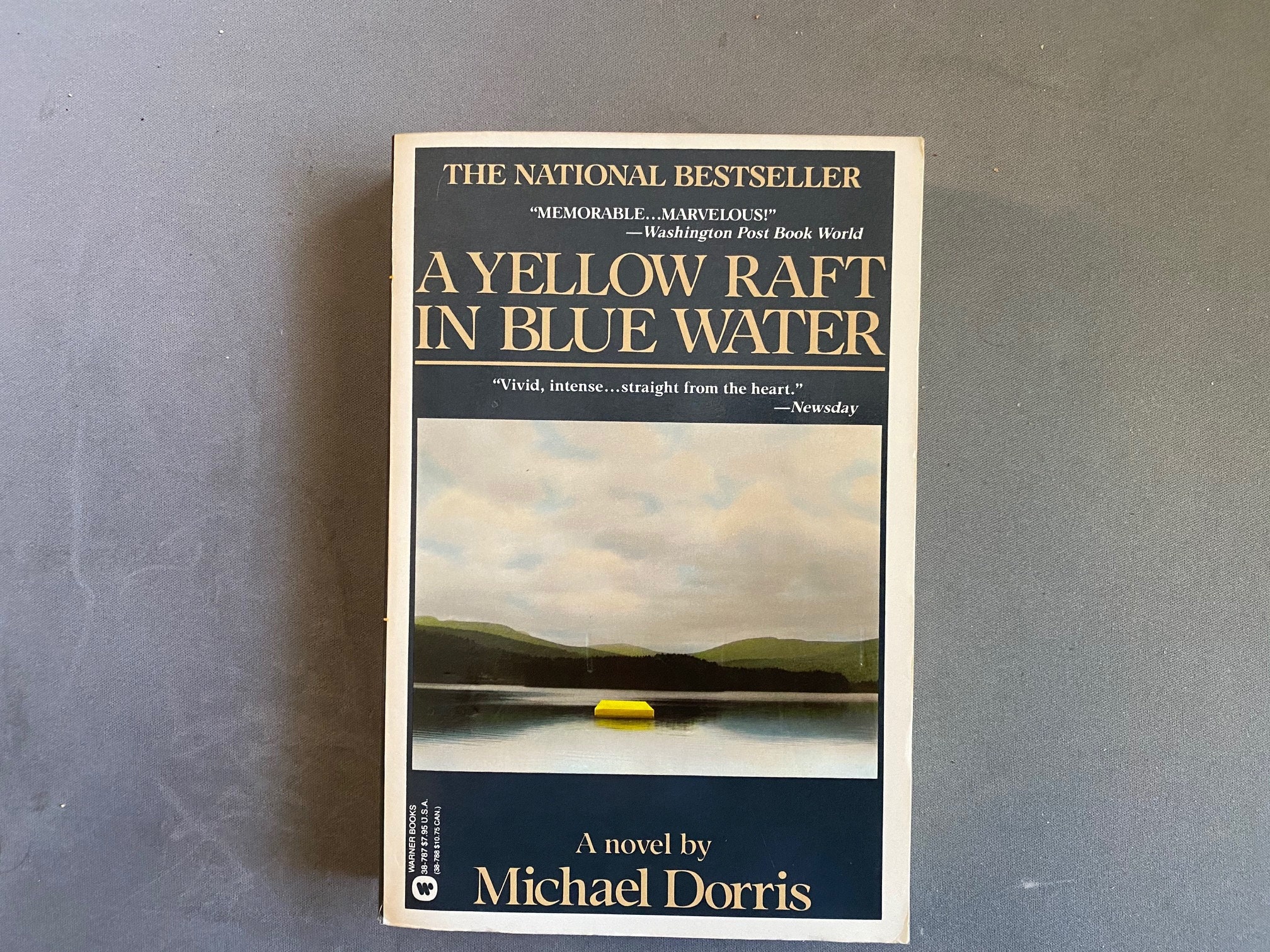 A Yellow Raft in Blue Water: A Novel Paperback by Dorris, Michael GOOD ...