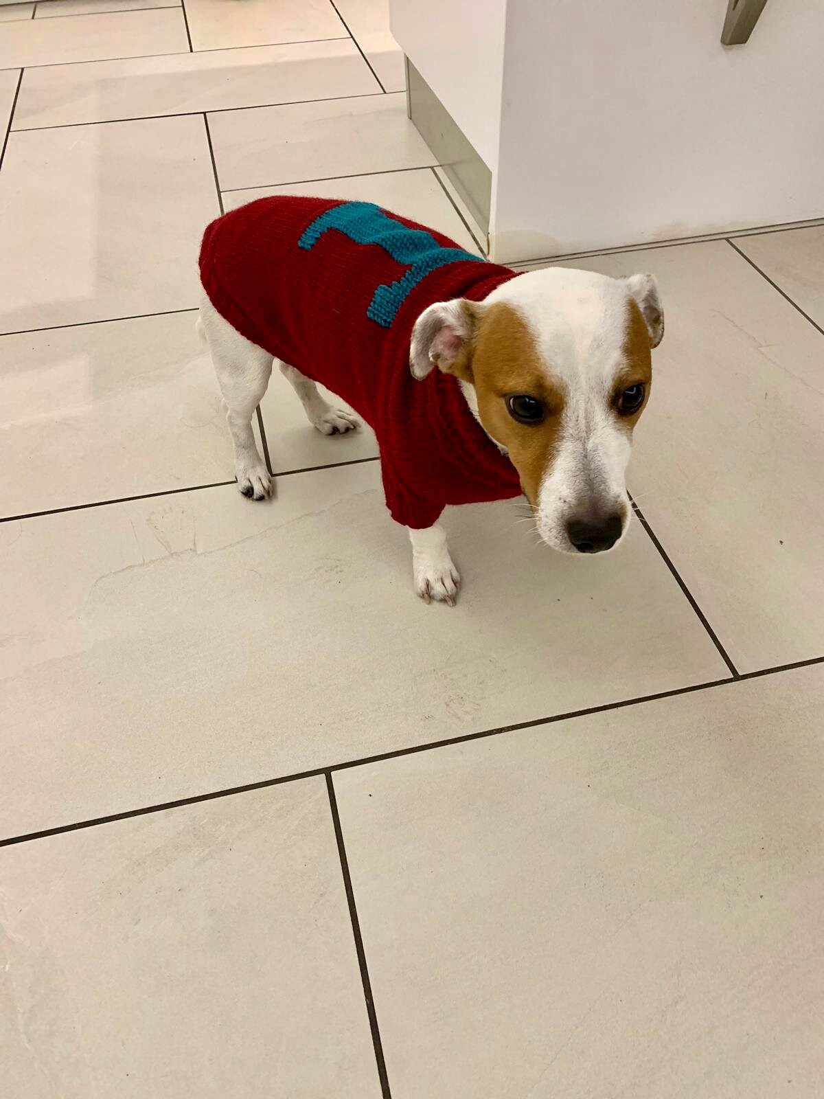 Personalization Dog Sweater With Letter, Knitted Dog Jumper, Weasley ...