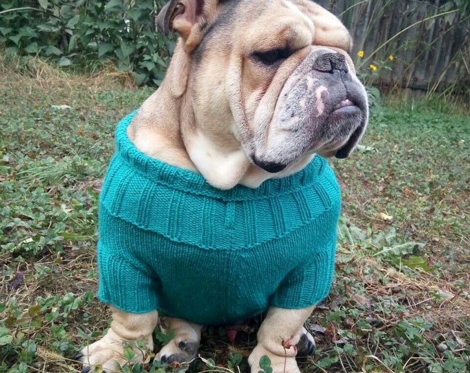 L English Bulldog Sweater, Apparel, Short Sleeved With Harness Opening ...
