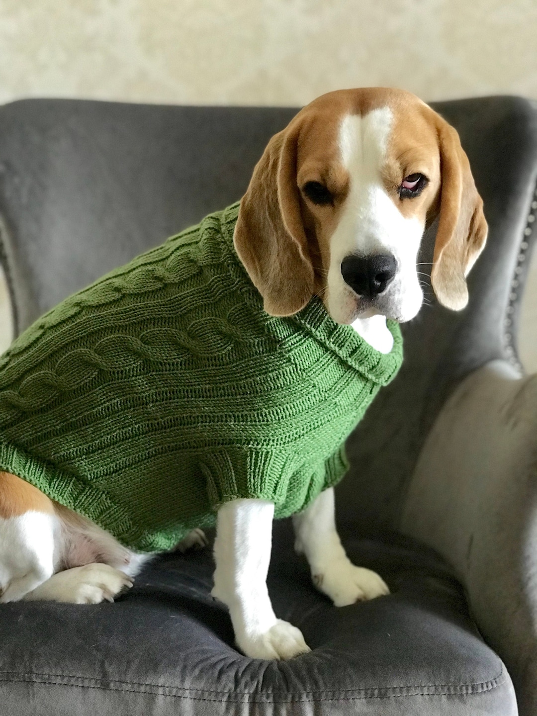 Knitted Sweater for Dogs, Personalized Dog Jumper With Pattern, Woolen ...