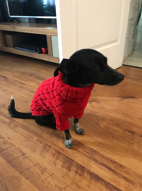 Suéter rojo para perros suéter de perro de punto desgaste de | Etsy