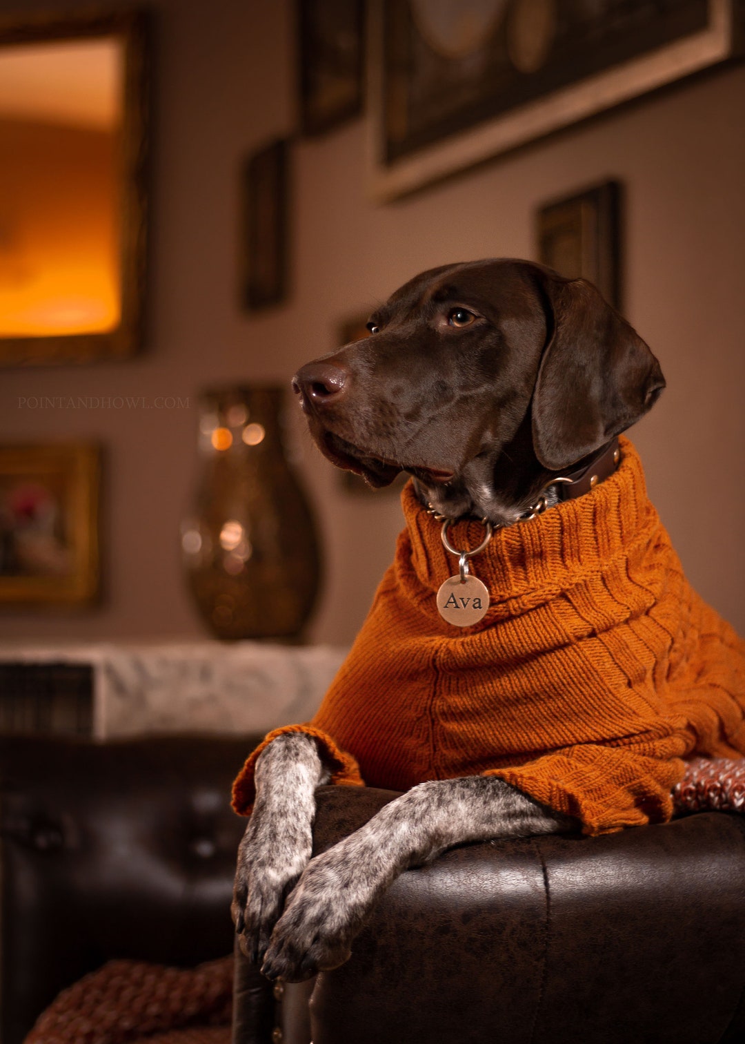 Knitted Dog Sweater, Personalized Dog Jumper With Pattern, Woolen Dog ...