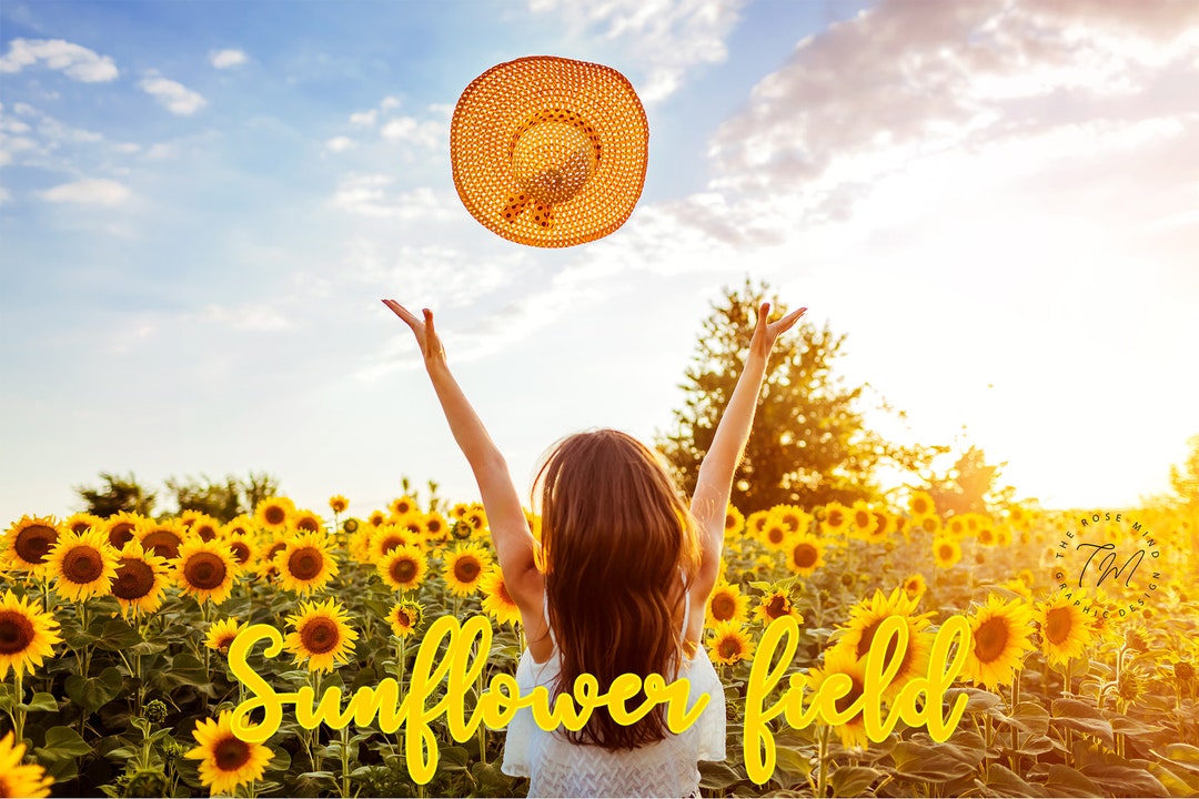 Sunflower Overlays, Sunflower Clip Art, Overlays for Photographer ...