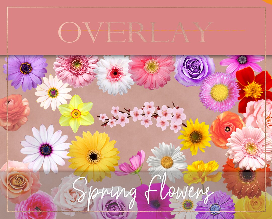 Spring Flower Overlays Flowers Png Transparent Background - Etsy