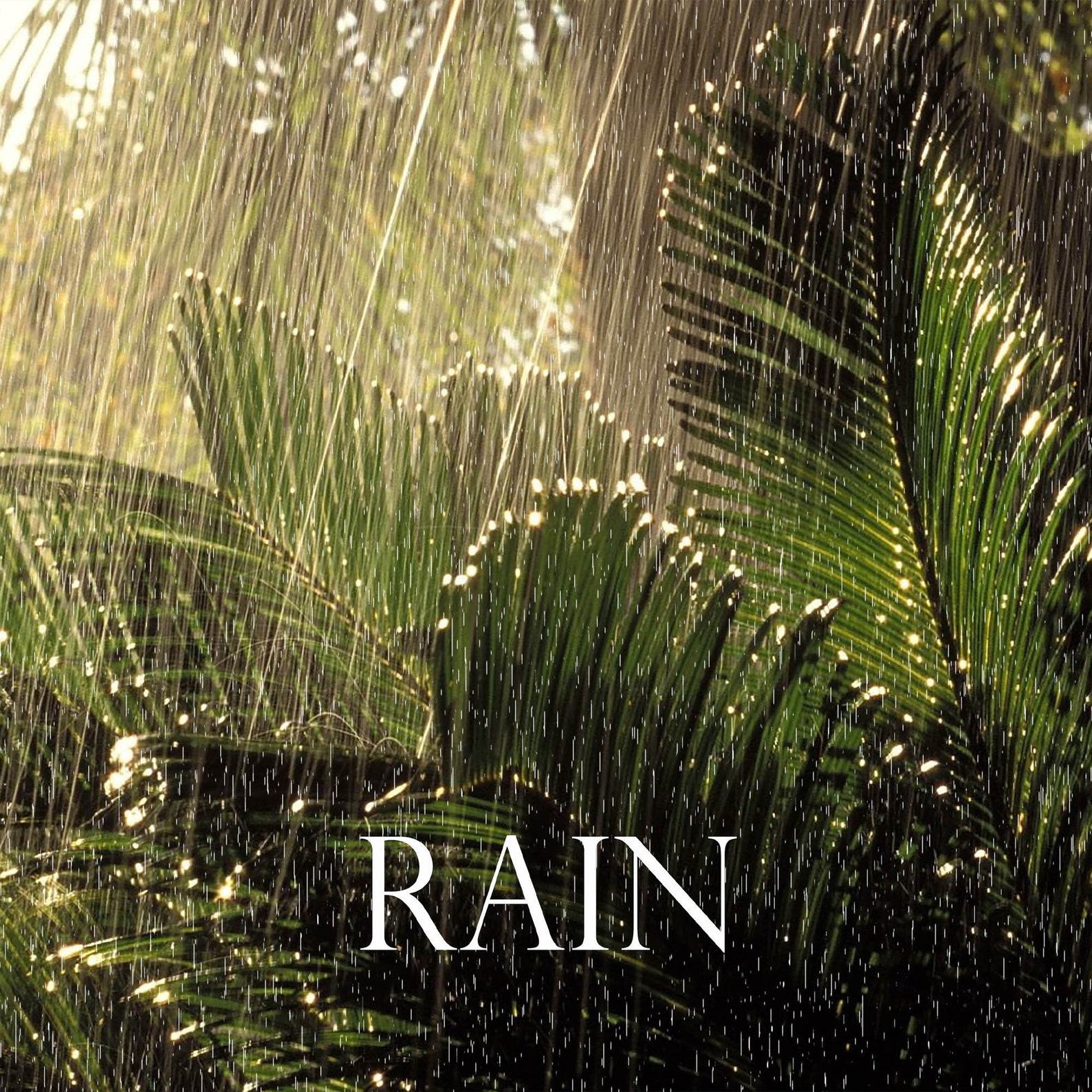 Rain Overlay, Rain Photoshop Effect, Rain Overlay Png, Overlays ...
