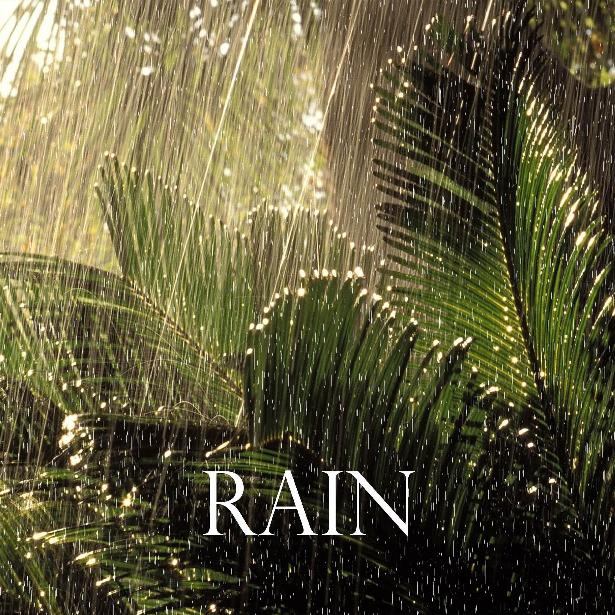 Rain Overlay, Rain Photoshop Effect, Rain Overlay Png, Overlays ...
