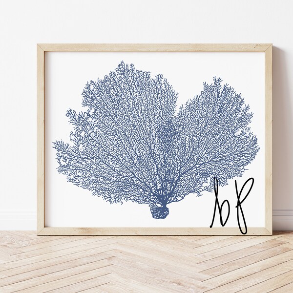 Blue Sea Fan Wall Art - Etsy