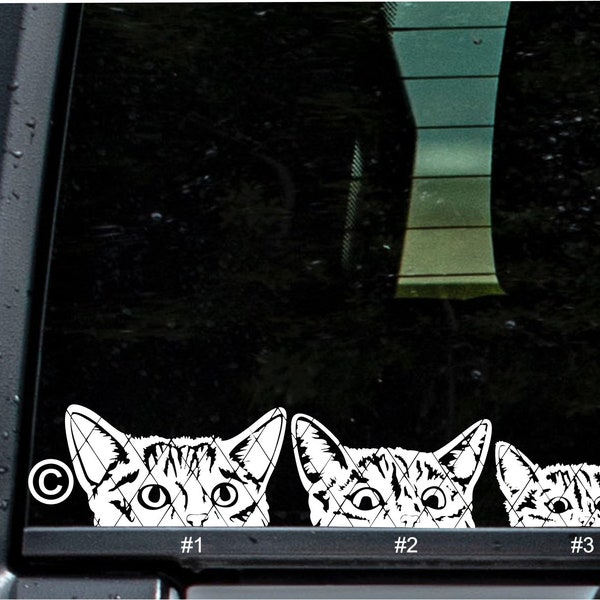 Cat Decal - Etsy