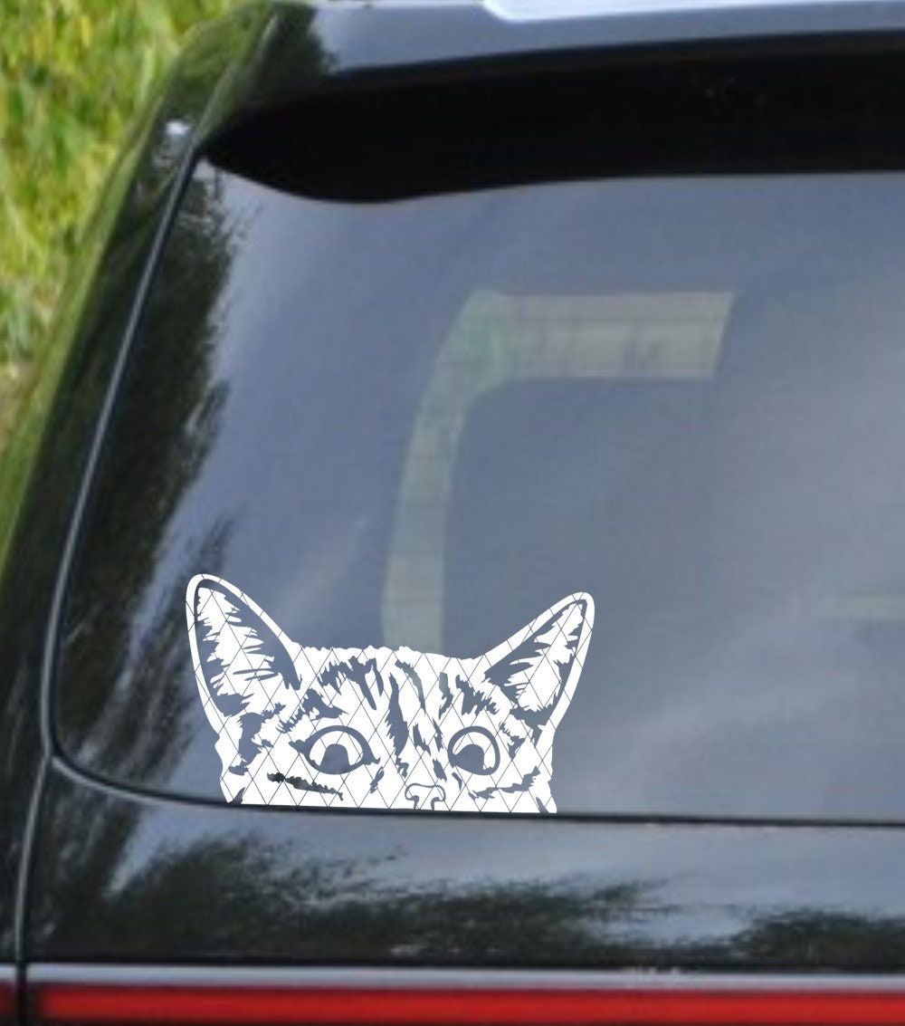 An Original Peeking Cat DecalRealisticHigh QualityNew | Etsy