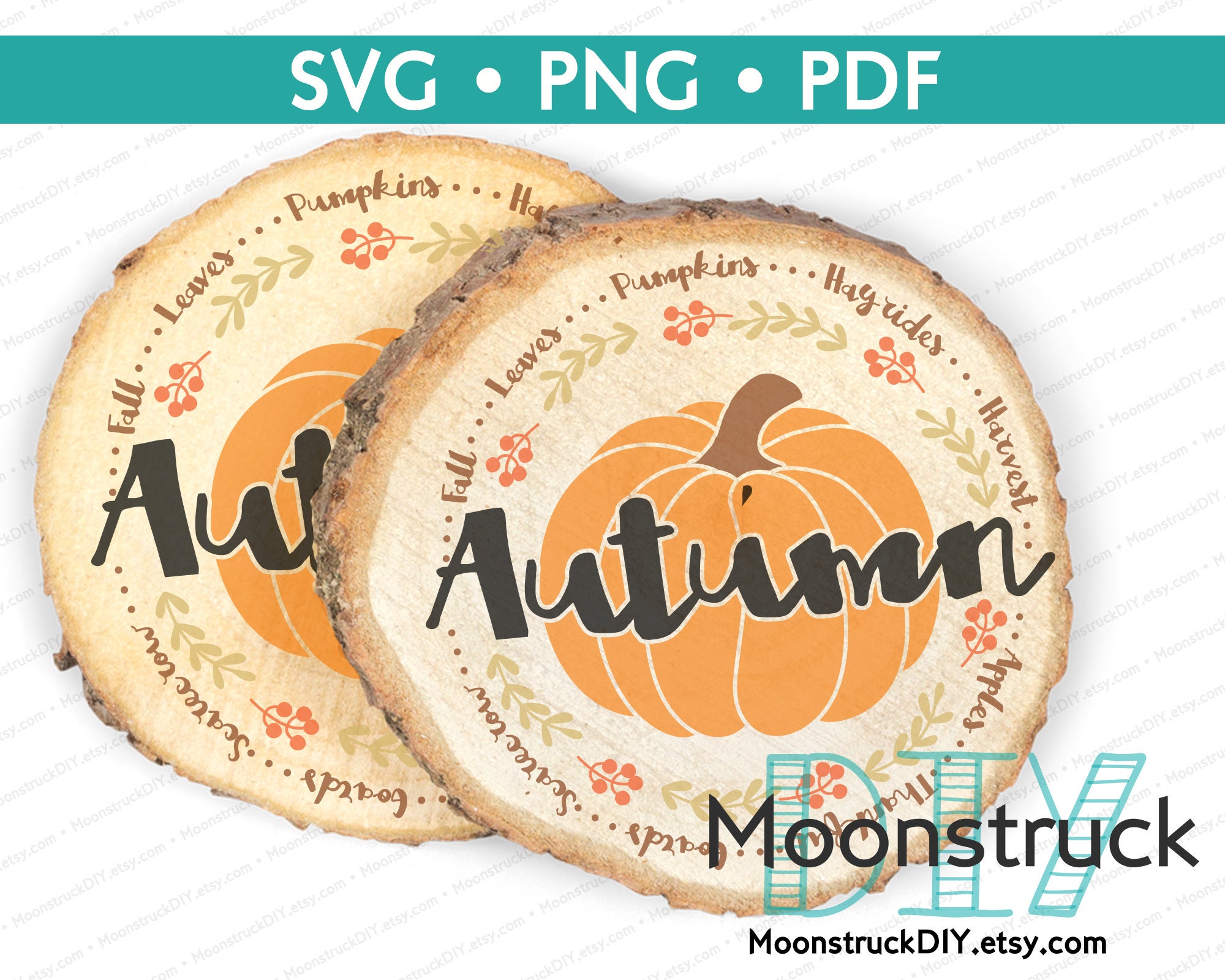 Autumn Pumpkin Circle SVG - Etsy