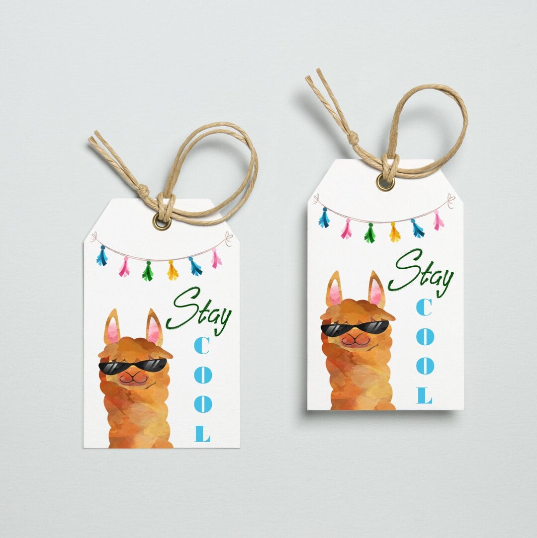 Printable Llama Party Favor Tags: Fiesta Birthday Gift Tags (digital ...