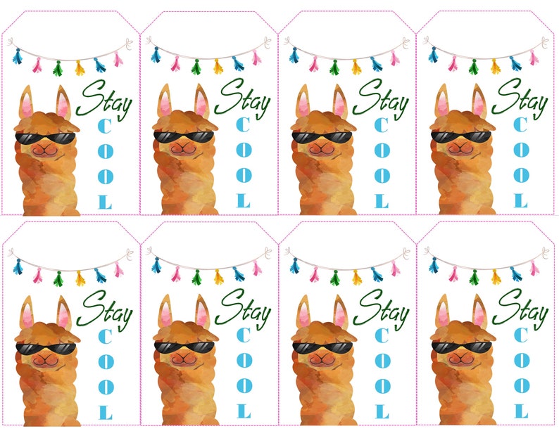 Llama Birthday Printable Bundle, Llama Party Decor, Girls Llama Party ...