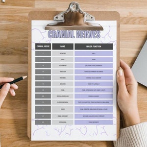 Nursing Student Cranial Nerve Study Guide – Nursing School Notes ...