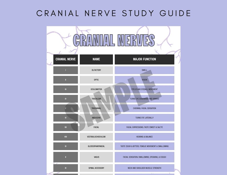 Nursing Student Cranial Nerve Study Guide Nursing School Notes Cranial ...